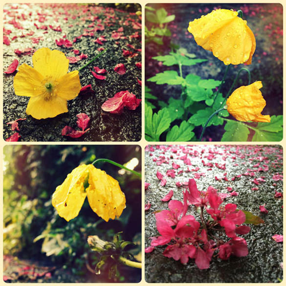 22+ Great Examples of Collage Pictures