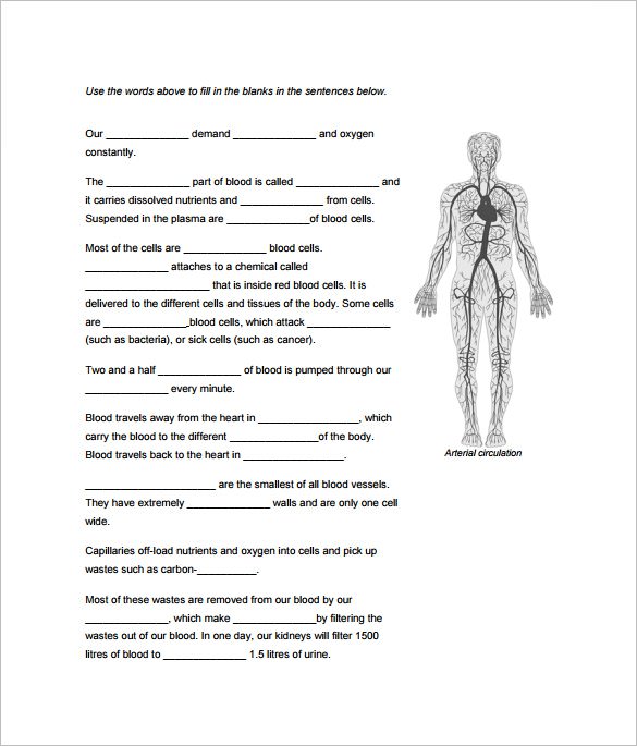 16 Human Body Outline Templates DOC PDF