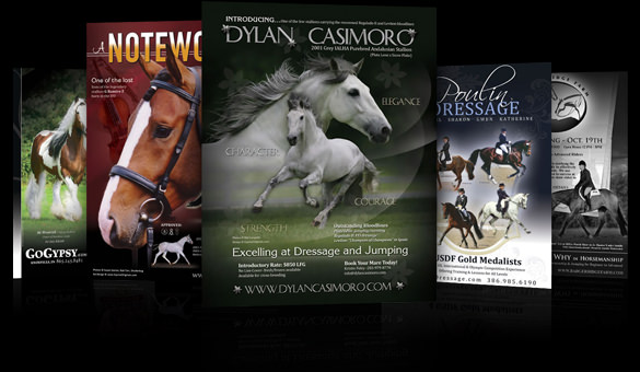 12+ Marvellous Horse Flyer Templates & Designs! | Free & Premium Templates