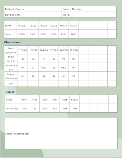15+ Patient Chart Templates - DOC, PDF, Excel