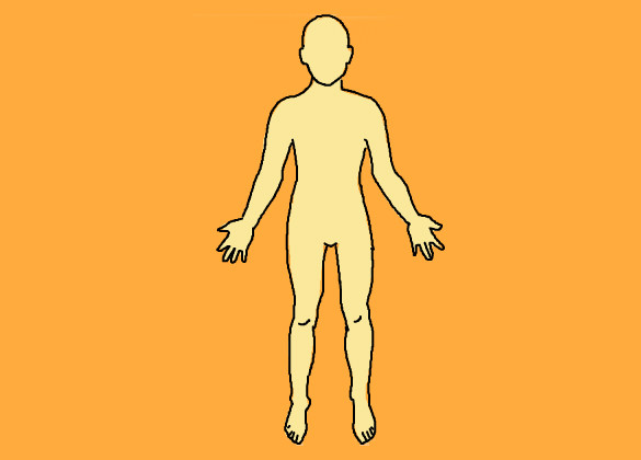 16 Human Body Outline Templates DOC PDF