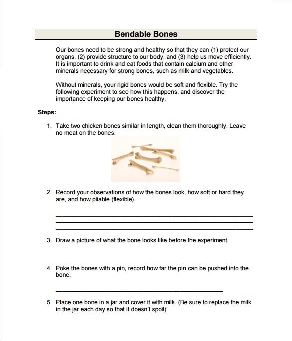 16+ Human Body Outline Templates -DOC, PDF