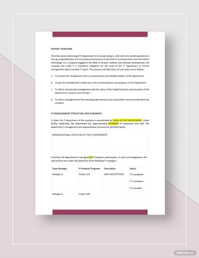 41+ Monthly Report Templates - Google Docs, Word, PDF