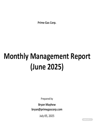 41+ Monthly Report Templates - Google Docs, Word, PDF