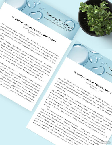 41+ Monthly Report Templates - Google Docs, Word, PDF