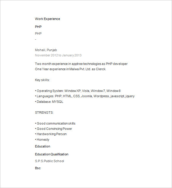 24+ PHP Developer Resume Templates - DOC, PDF