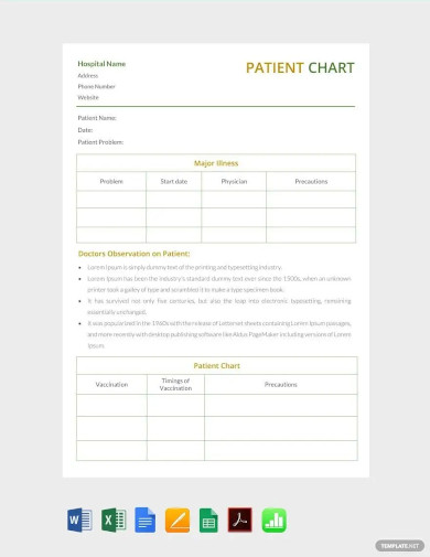 15+ Patient Chart Templates - DOC, PDF, Excel