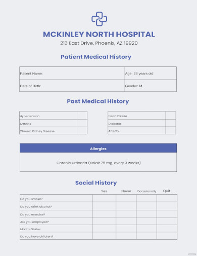 15+ Patient Chart Templates - DOC, PDF, Excel
