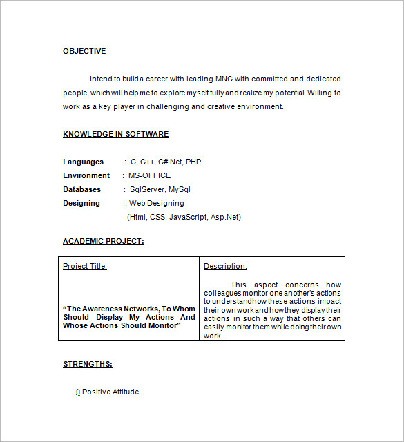 24+ PHP Developer Resume Templates - DOC, PDF