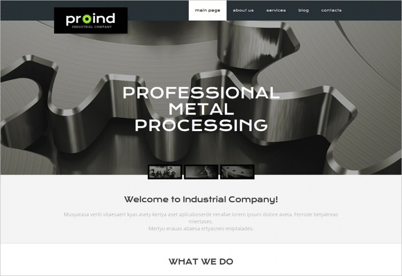 21+ PHP Website Themes & Templates