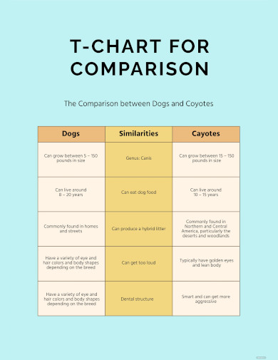 39+ T Chart Templates - DOC, PDF