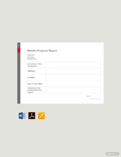 45+ Weekly Report Templates - DOC, Excel, PDF