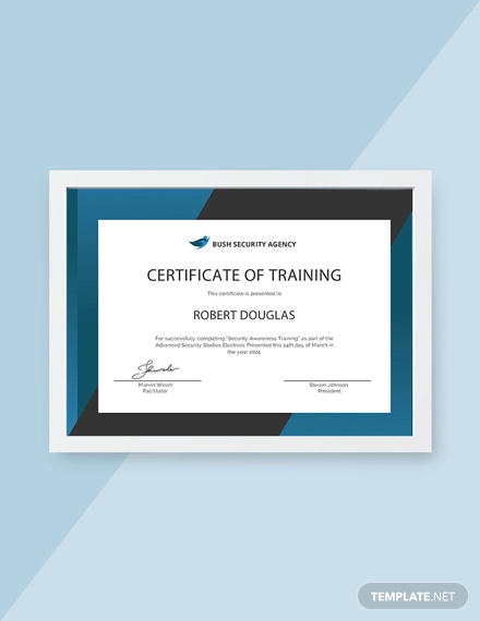 12+ Safety Certificate Template - Word, PDF, PSD, AI, InDesign Document ...