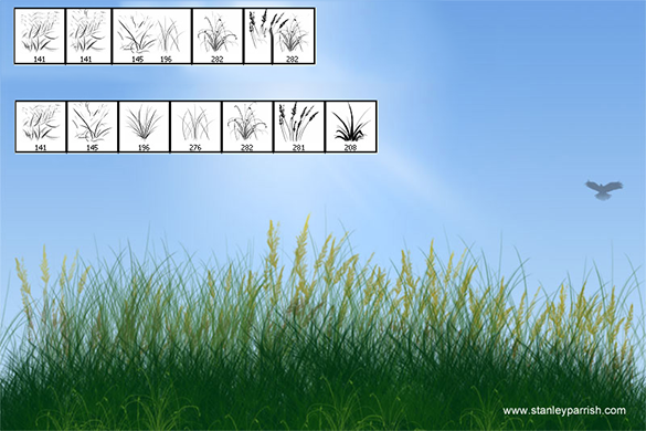240+ Photoshop Grass Brushes - Free Vector EPS, ABR, AI Format Download