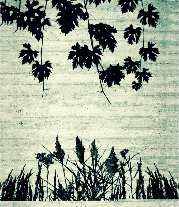 240 Photoshop Grass Brushes Free Vector Eps Abr Ai Format Download