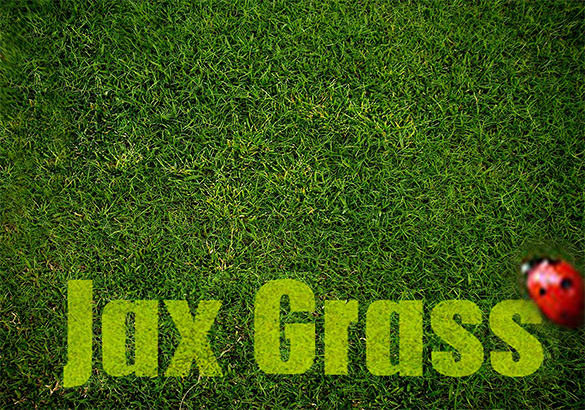 240 Photoshop Grass Brushes Free Vector Eps Abr Ai Format Download