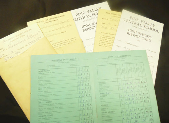 14+ Progress Report Card Templates -Word, PDF, Docs, Pages