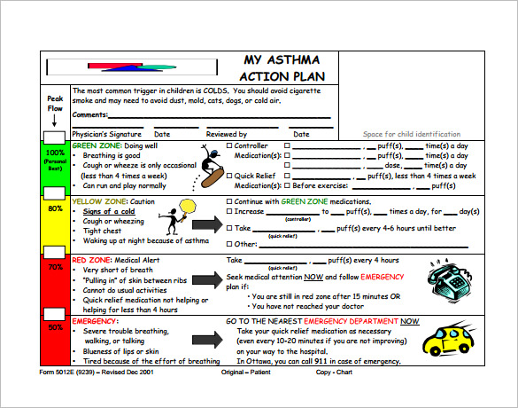 9 Asthma Action Plan Template DOC Excel PDF