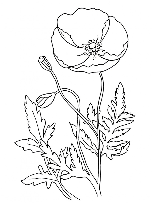 18+ Poppy Coloring Pages - PDF, JPG
