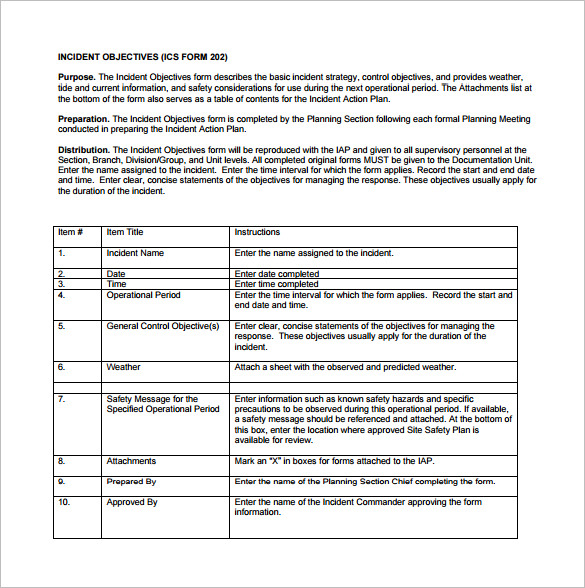 6 Incident Action Plan Templates DOC PDF