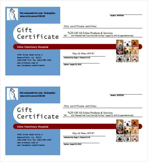 Gift Certificate Template - 42+ Examples in PDF, Word In Design Format ...
