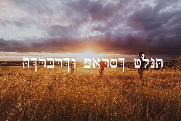 10+ Hebrew Fonts - TTF, OTF