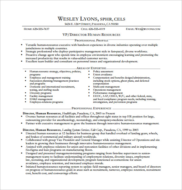 Executive Resume Template Word Free