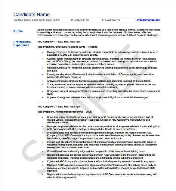 Executive Resume Template -16+ Word, Excel, PDF Format Download!