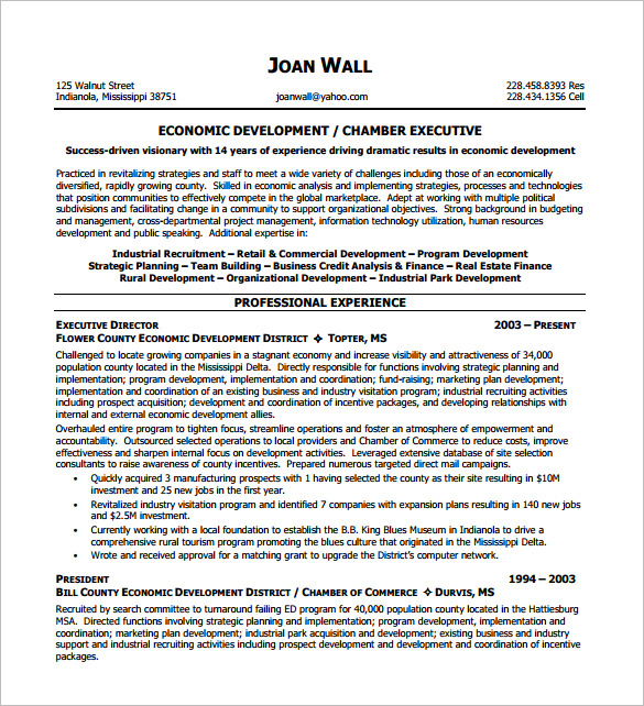 Executive Resume Template -16+ Word, Excel, PDF Format Download!