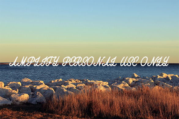 Musical Fonts - 21+ Free TTF, OTF, PSD Format Download!