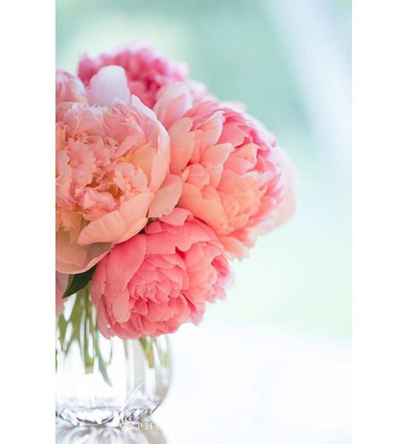 Floral Wallpaper Instagram