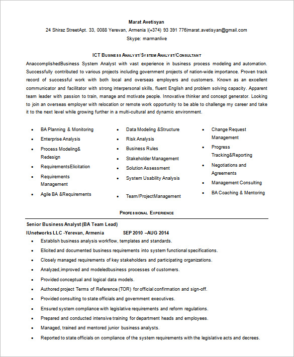 Business Analyst Resume Template 11 Free Word Excel PDF Free Download 
