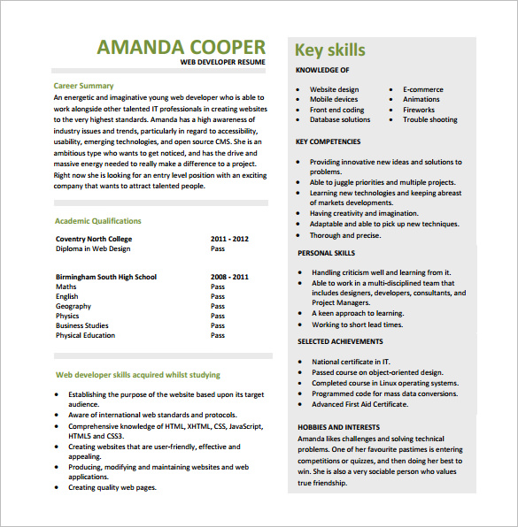 20+ Web Developer Resume Templates - DOC, PDF