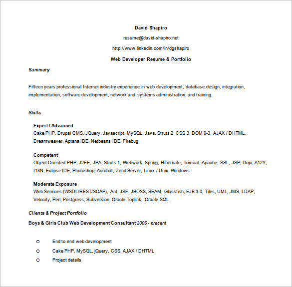 20+ Web Developer Resume Templates - DOC, PDF