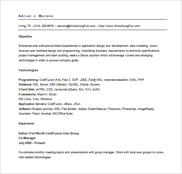 20+ Web Developer Resume Templates - DOC, PDF