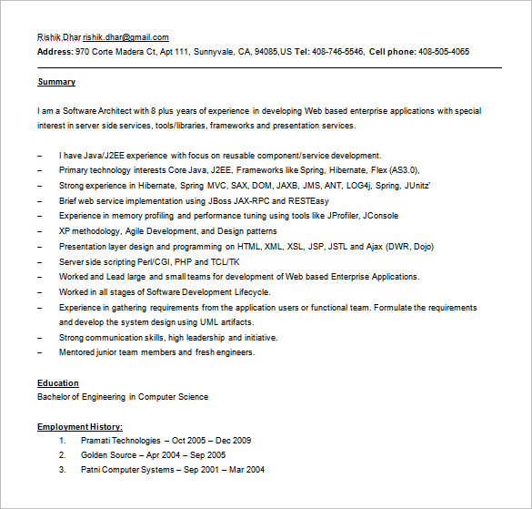 20+ Web Developer Resume Templates - DOC, PDF