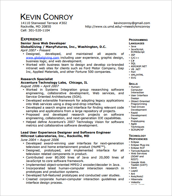 20+ Web Developer Resume Templates - DOC, PDF
