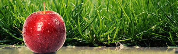 Cool LinkedIn Backgrounds – 23+ Free JPEG, PNG Format Download!