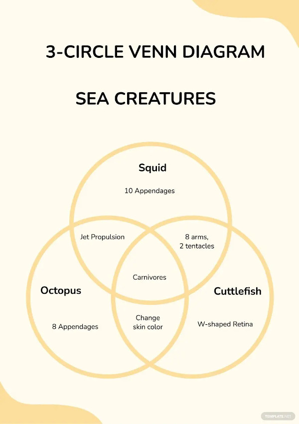 11+ Circle Venn Diagram Templates - Word, PDF | Free & Premium Templates