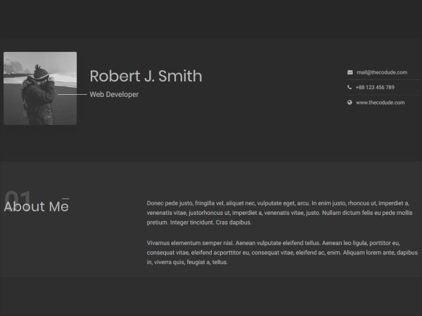 Free 38+ HTML5 Resume Templates - Free Samples, Examples Format Download!