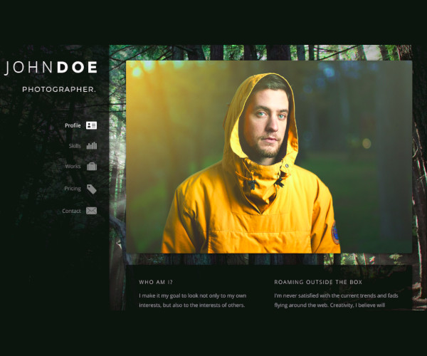 Free 38+ HTML5 Resume Templates - Free Samples, Examples Format Download!