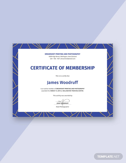 Certificate Template - 52+ Printable Word, Excel, PDF, PSD, Google ...