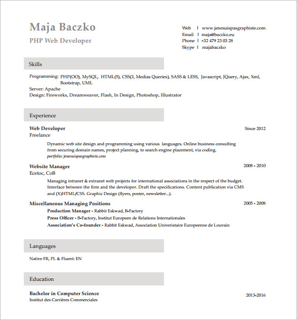12+ Java Developer Resume Templates - DOC, PDF