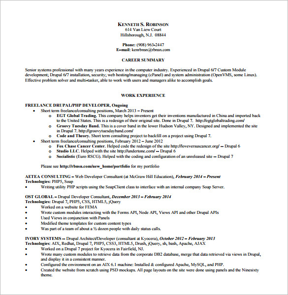 12+ Java Developer Resume Templates - DOC, PDF