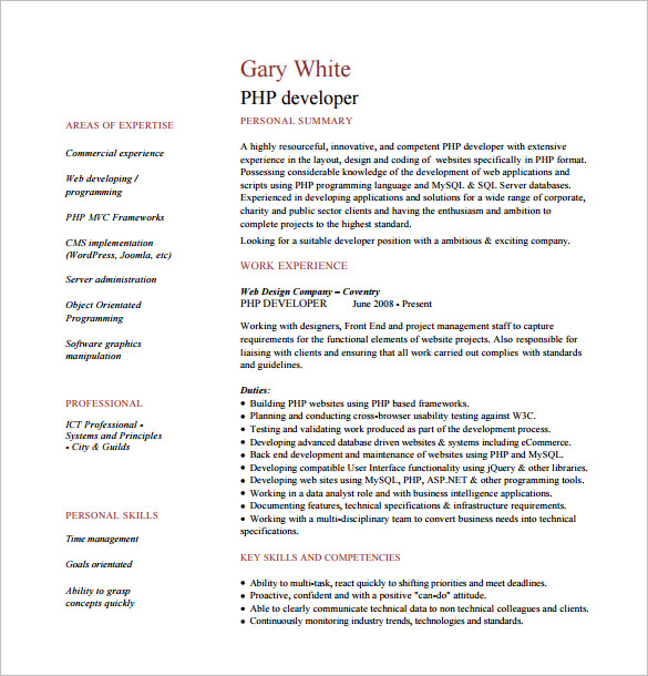 12+ Java Developer Resume Templates - DOC, PDF