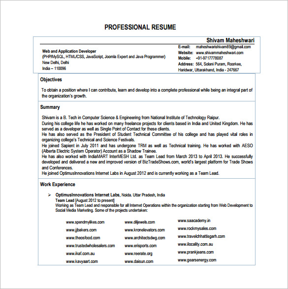 12+ Java Developer Resume Templates - DOC, PDF