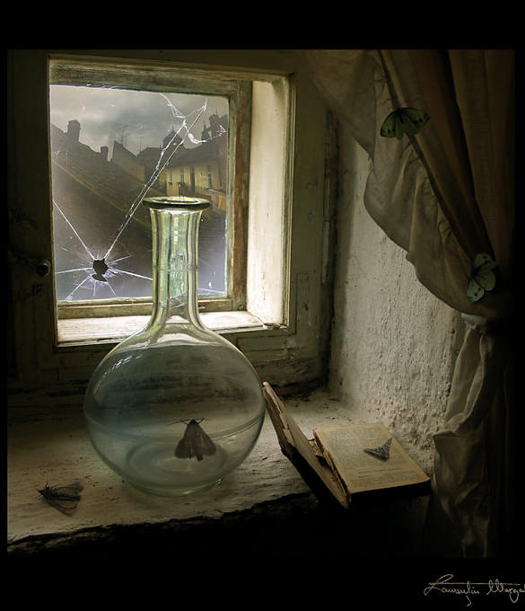 25+ Digital Art Photography Examples To Inspire You!