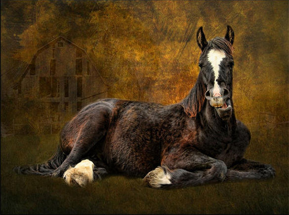 25+ Digital Art Photography Examples To Inspire You!