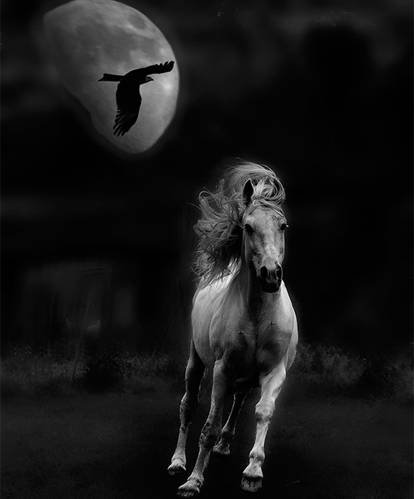 25+ Digital Art Photography Examples To Inspire You!