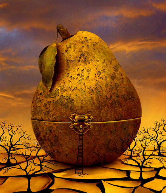 25+ Digital Art Photography Examples To Inspire You!